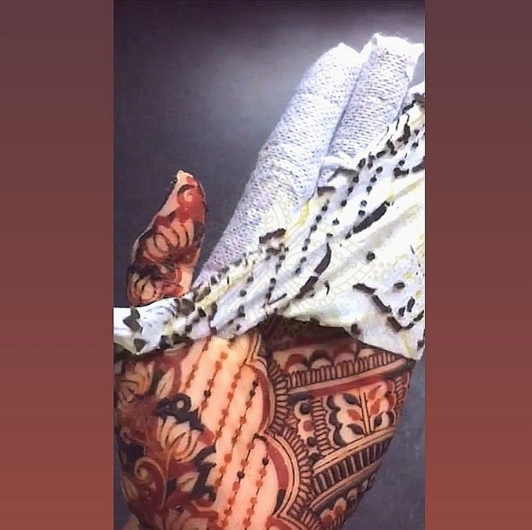 Henna Fun Kit | Mehndi Seasons